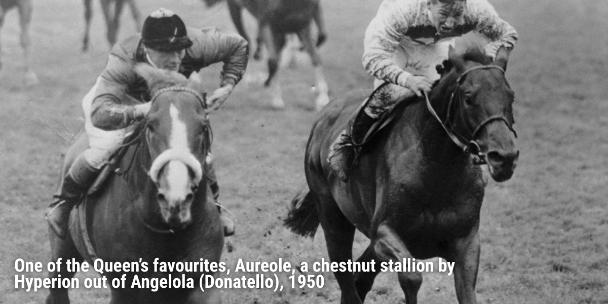 Timeless Grace: Celebrating Princess Anne the Princess Royal, 75th Birthday